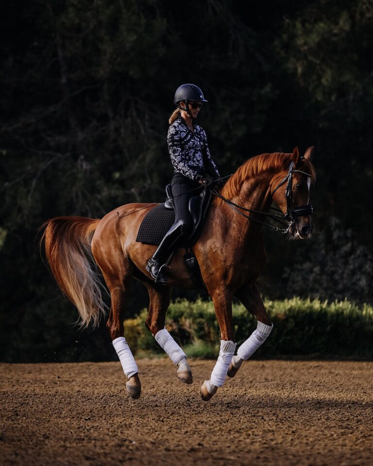 Inside Rein vs. Outside Rein: Are You Using Them Correctly? - Amelia ...