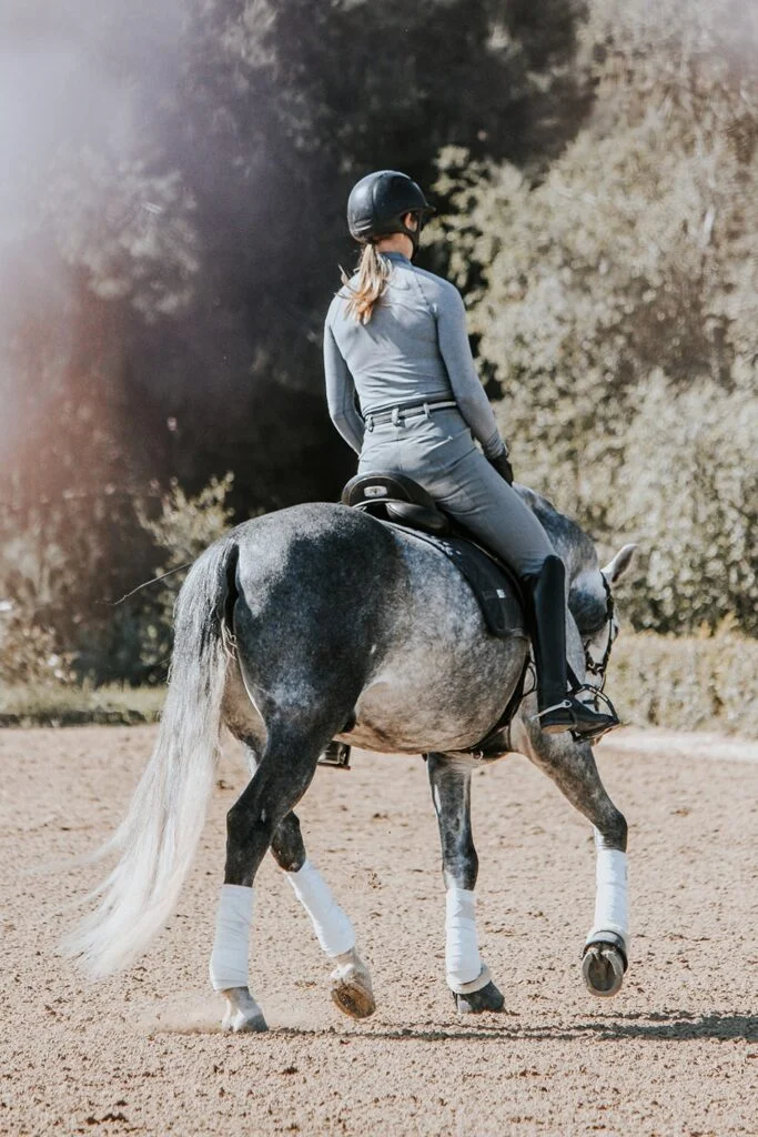 Masterclasses - Amelia Newcomb Dressage