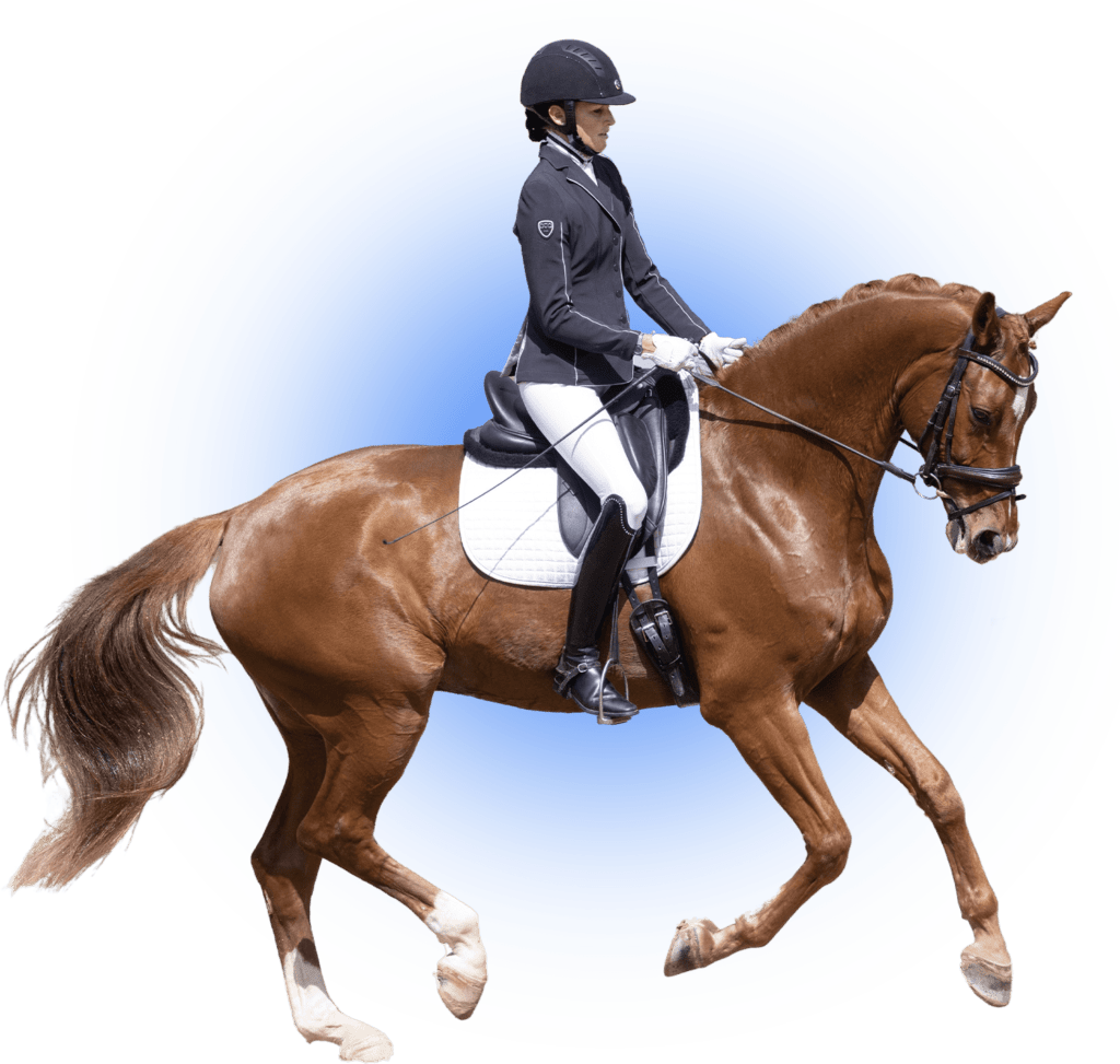 Flying Changes Course - Amelia Newcomb Dressage
