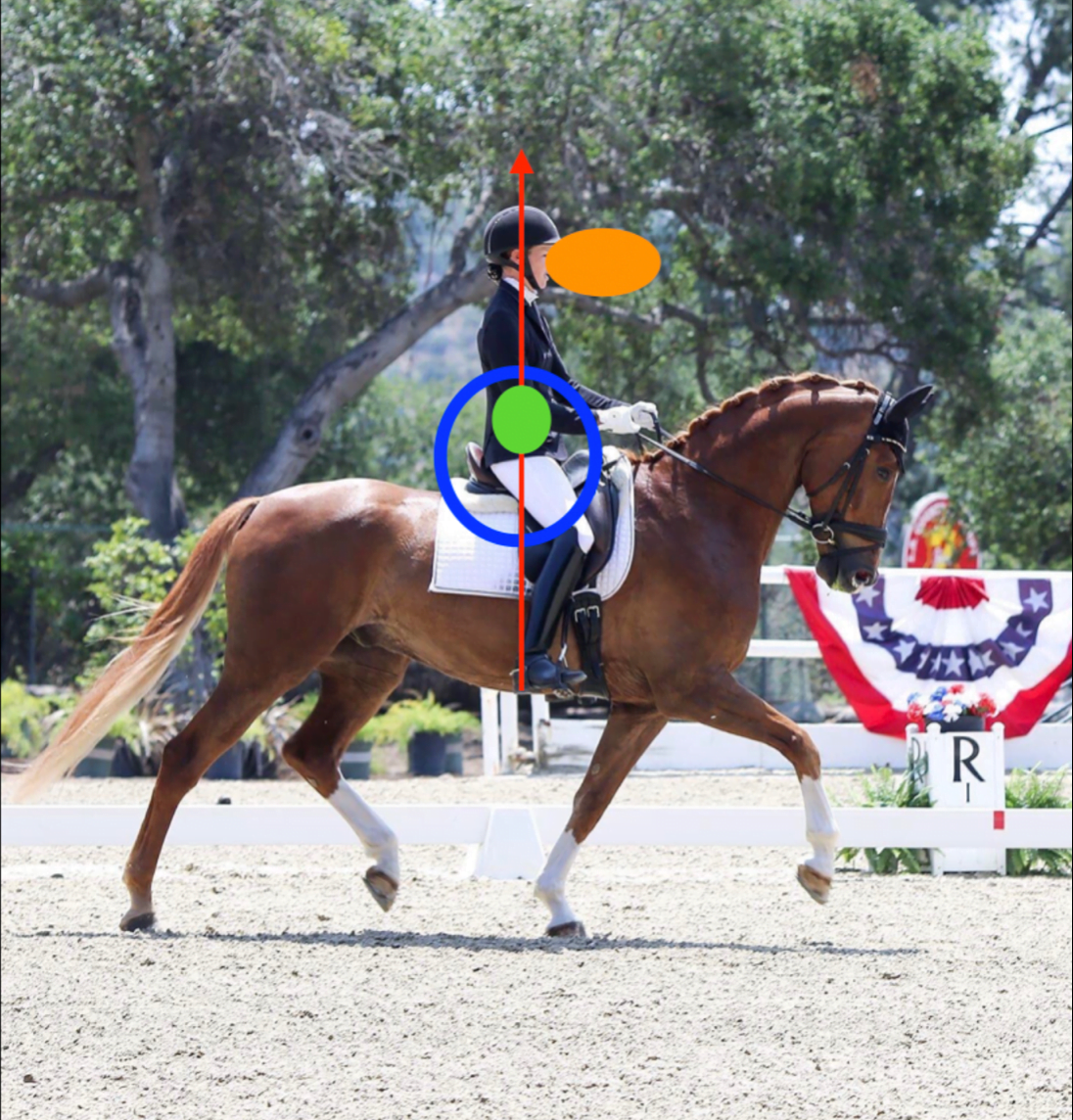 Rider Position Masterclass - Amelia Newcomb Dressage