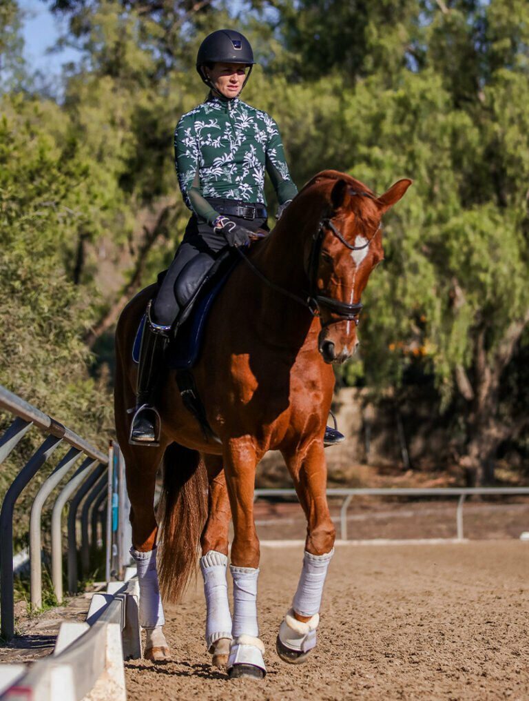 Groundwork Masterclass - Amelia Newcomb Dressage