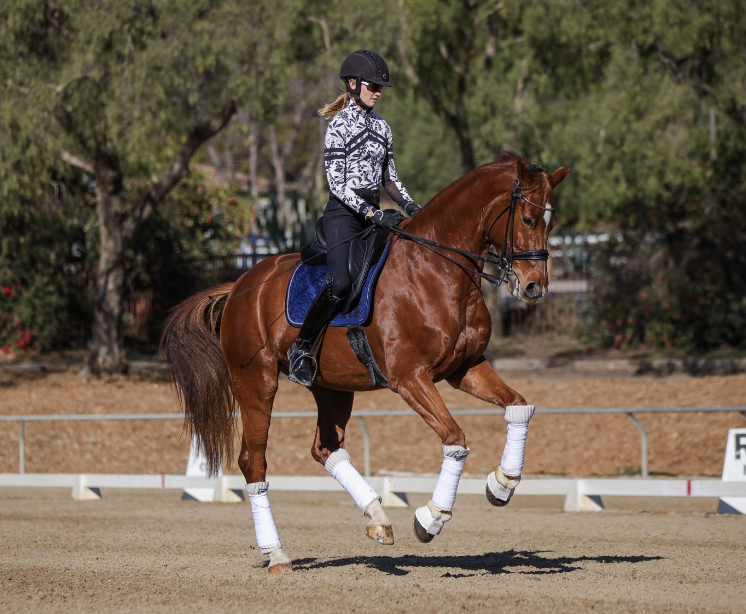 The Half Pass: A Simple Trick - Amelia Newcomb Dressage