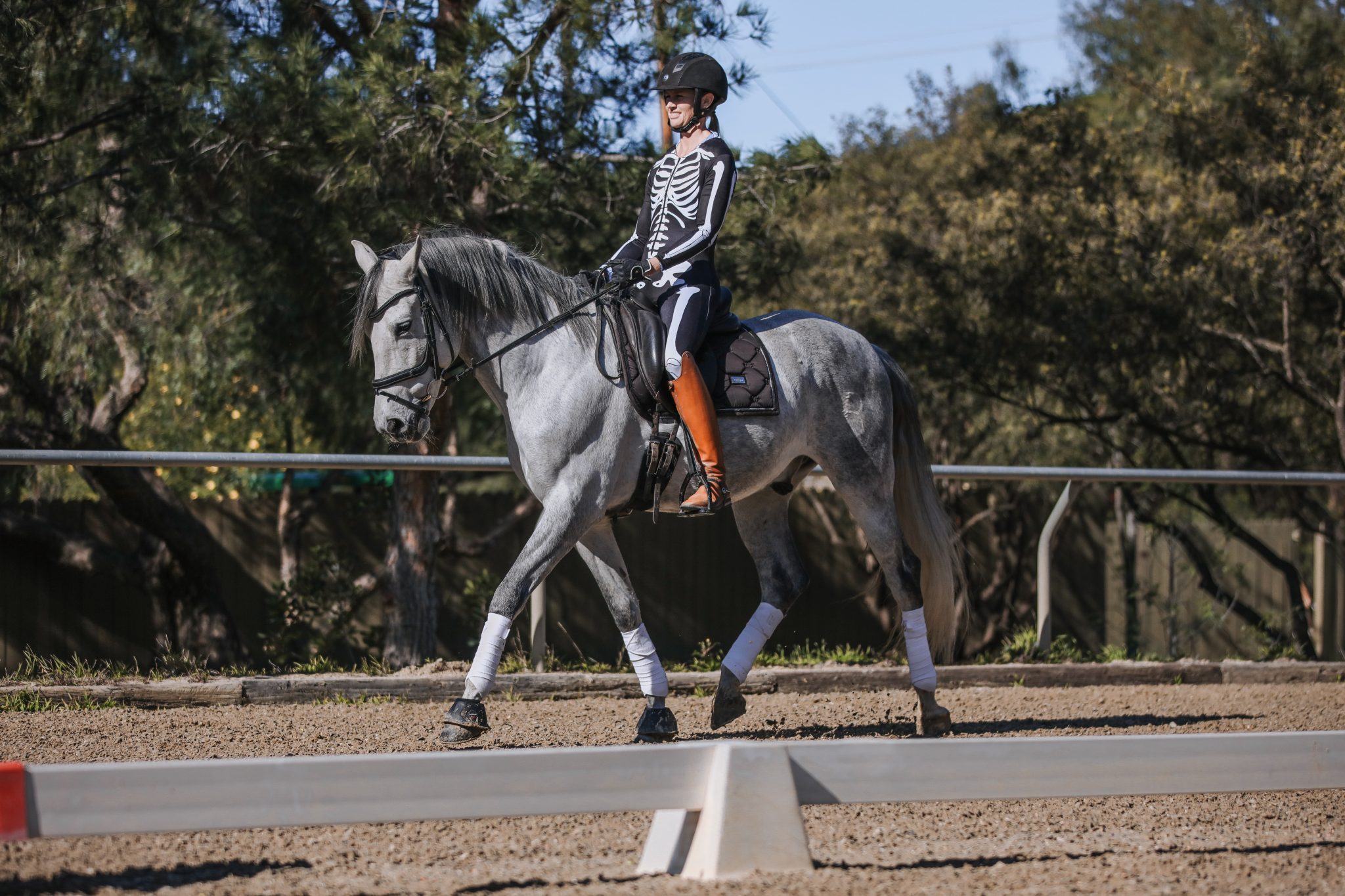 Rider Position 2023 - Amelia Newcomb Dressage