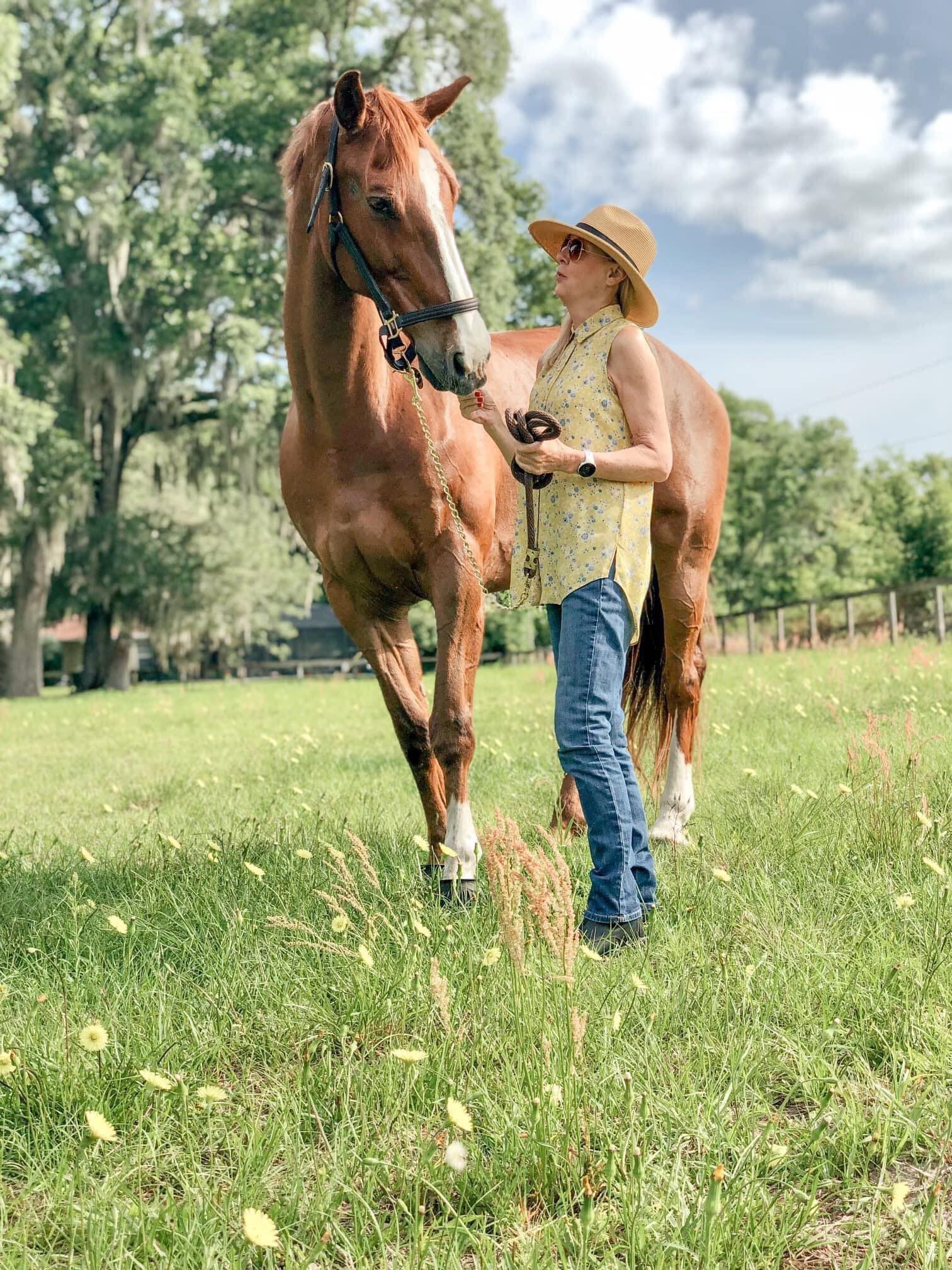 Get to know Strides Member Janet. - Amelia Newcomb Dressage