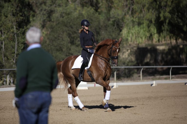 How to Teach a Horse to Leg Yield - Amelia Newcomb Dressage
