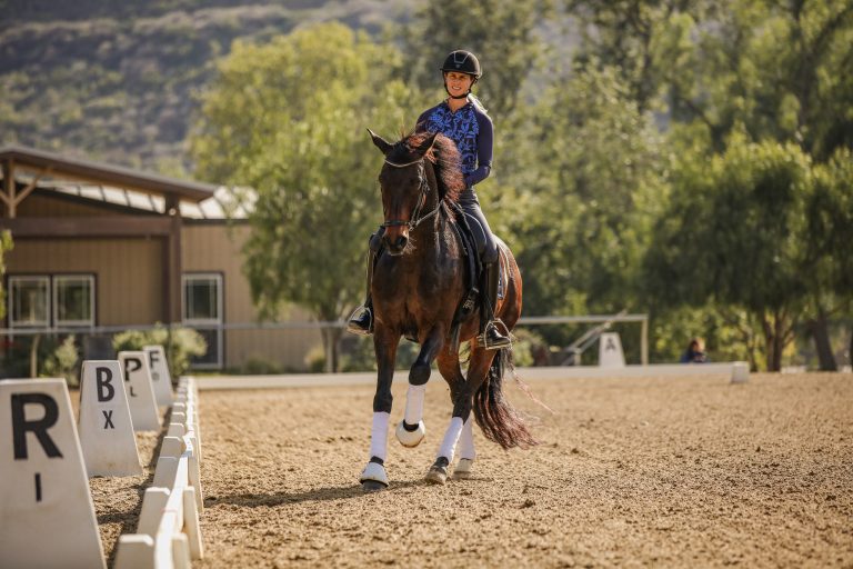 The Key to Smooth Canter Transitions - Amelia Newcomb Dressage