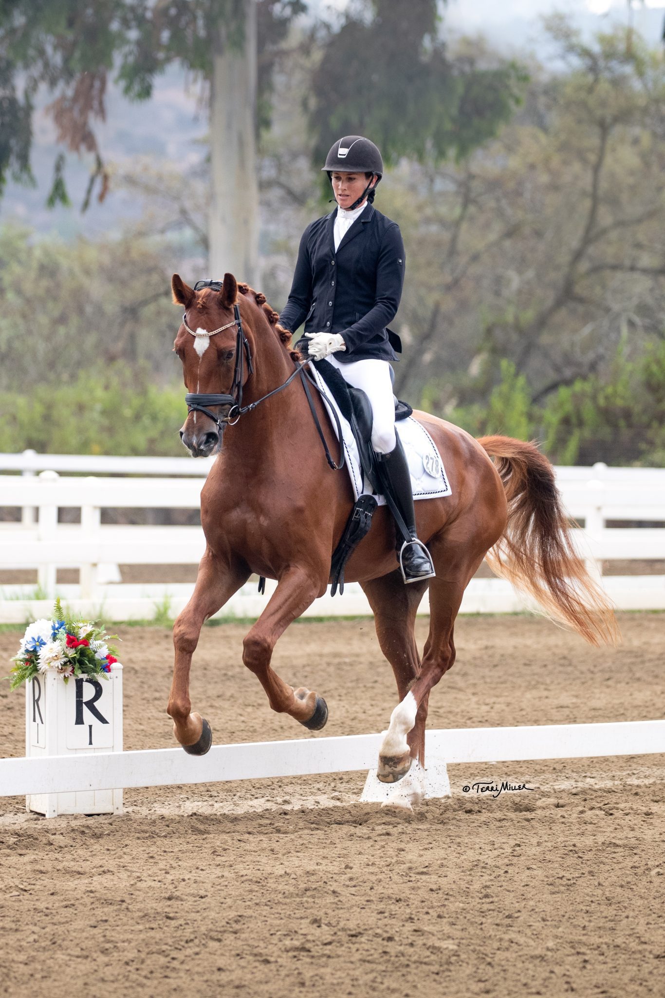 Let's Ride Fourth Level Test 3 - Amelia Newcomb Dressage