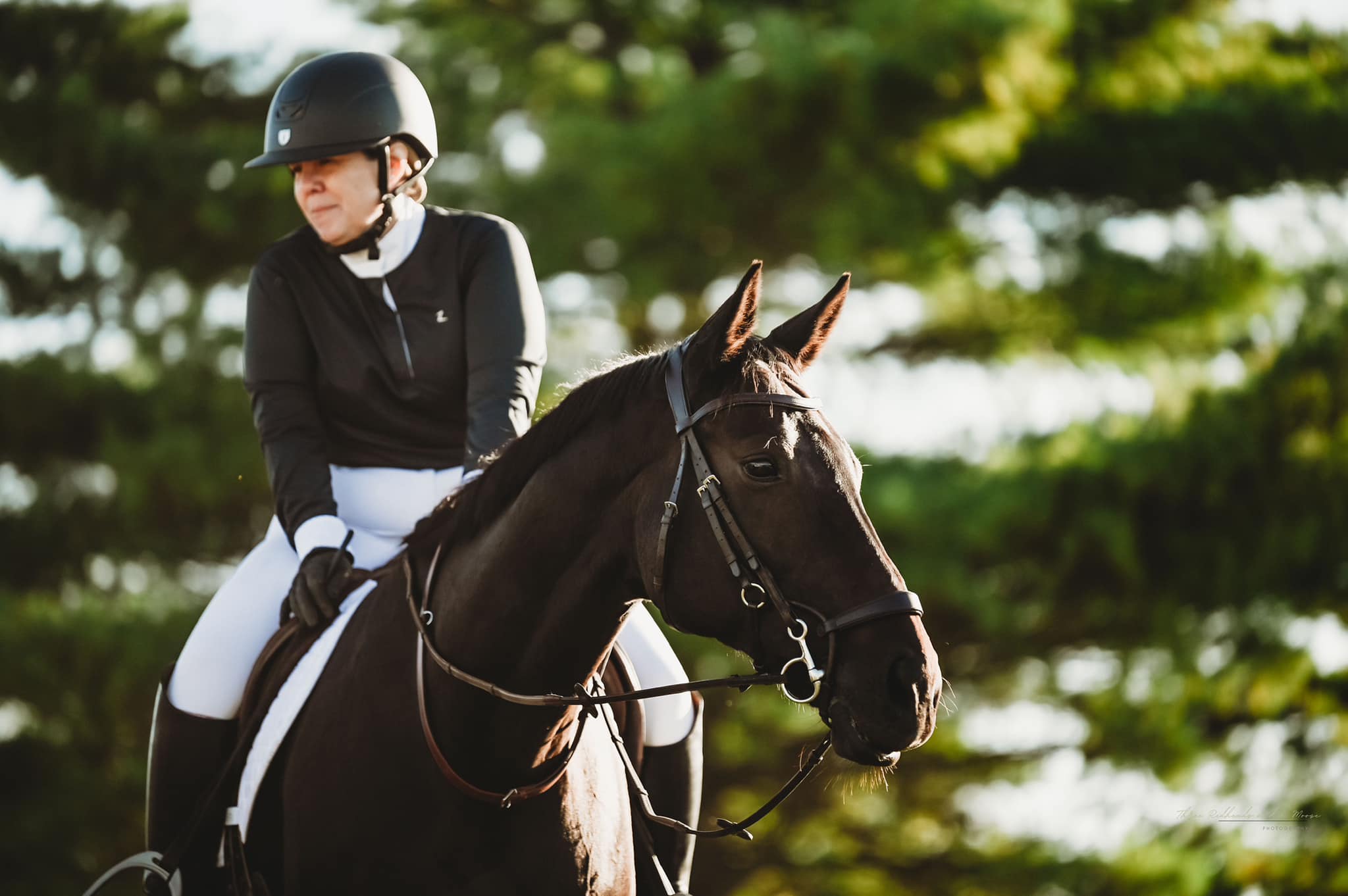 Jennifer - Amelia Newcomb Dressage