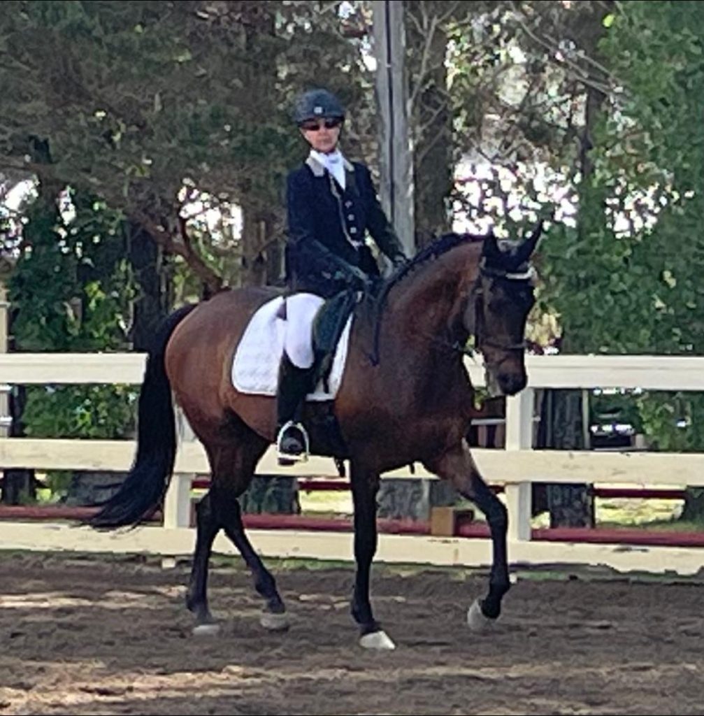 Competition Courses - Amelia Newcomb Dressage