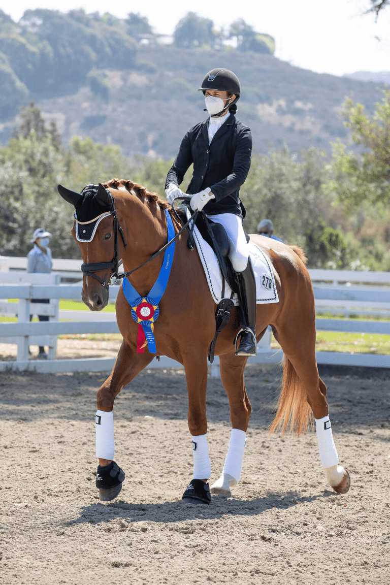NEW! USDF First Level Test 3- 2023 Version - Amelia Newcomb Dressage