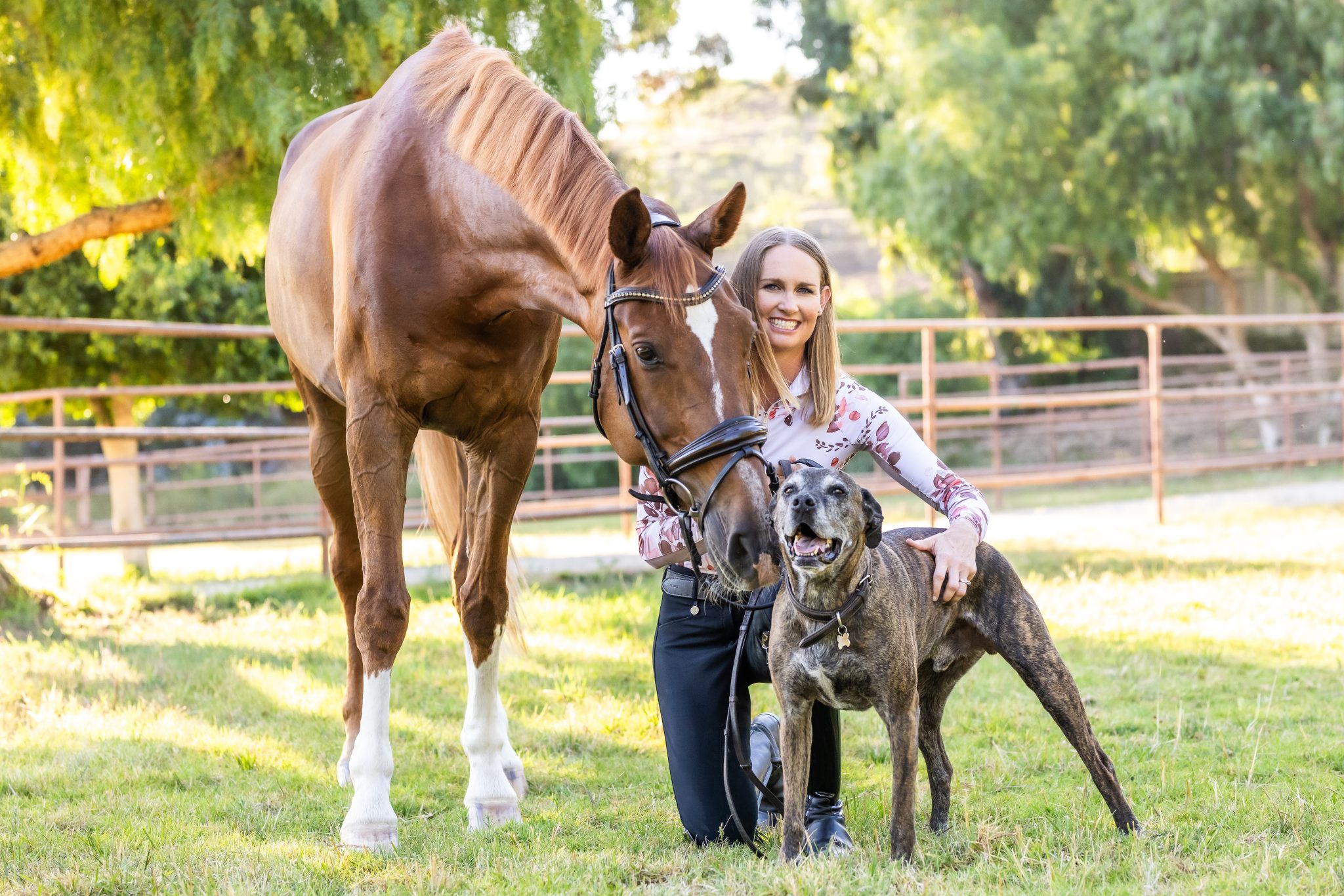 Dressage Basics - Amelia Newcomb Dressage
