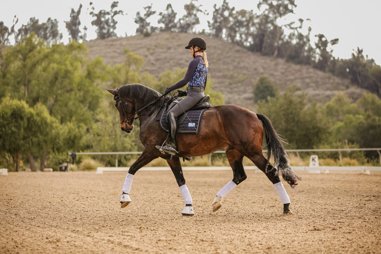 #1 Pattern for a Relaxed and Focused Horse - Amelia Newcomb Dressage