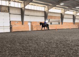 Training Scale Masterclass - Amelia Newcomb Dressage