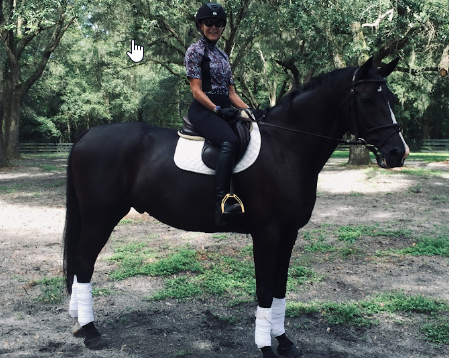 Training Scale Masterclass - Amelia Newcomb Dressage