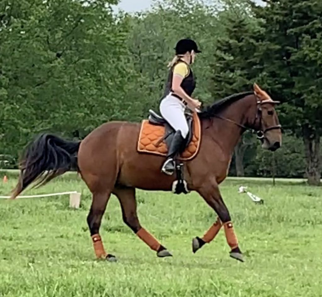 Amelia's Rider Fitness Program - Amelia Newcomb Dressage