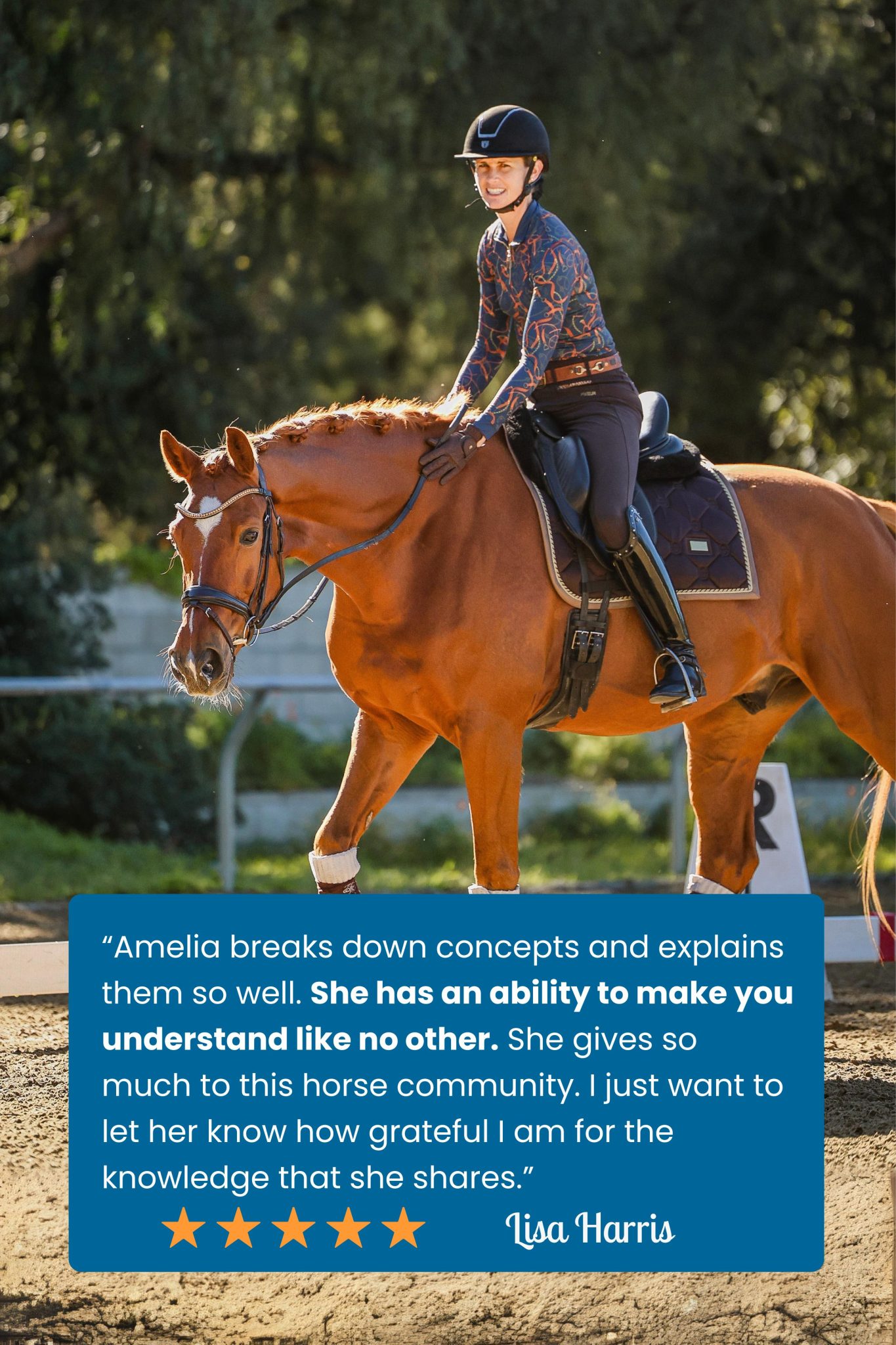 Training Scale PDF - Amelia Newcomb Dressage