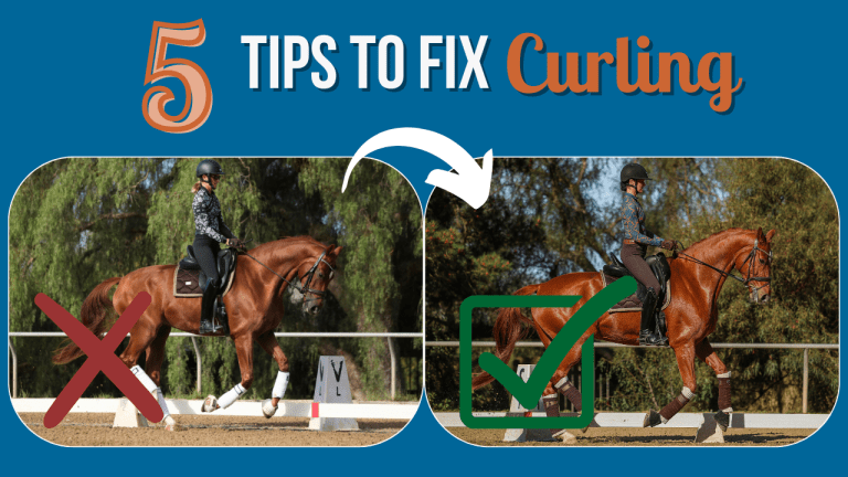 #1 Pattern for a Relaxed and Focused Horse - Amelia Newcomb Dressage