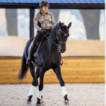 Training Scale Masterclass - Amelia Newcomb Dressage