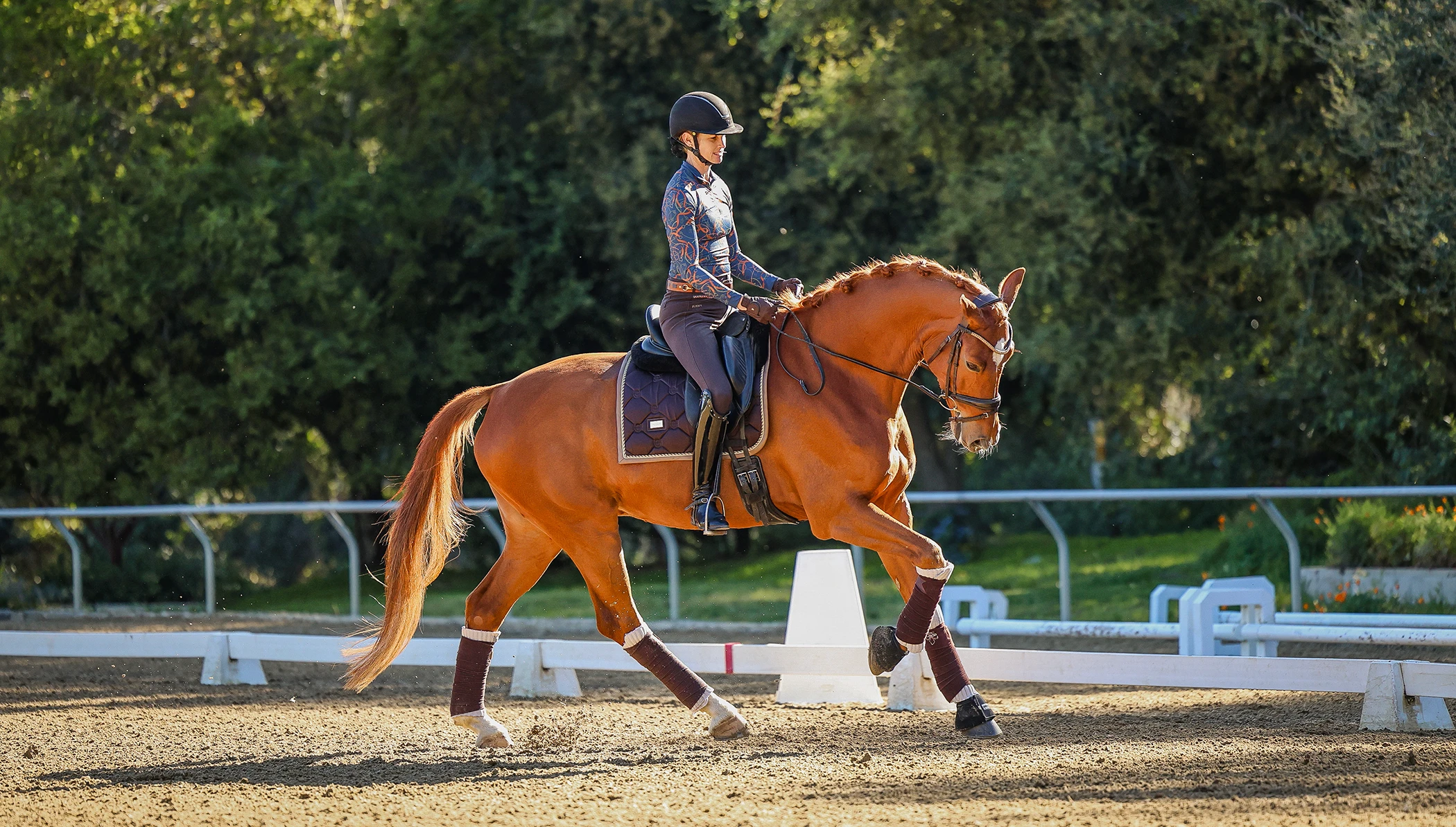 30 Days to Round- Amelia Newcomb Dressage