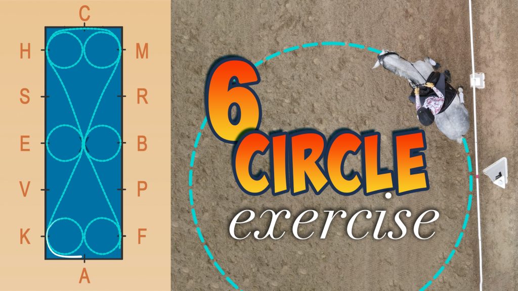 Free Resources - Amelia Newcomb Dressage