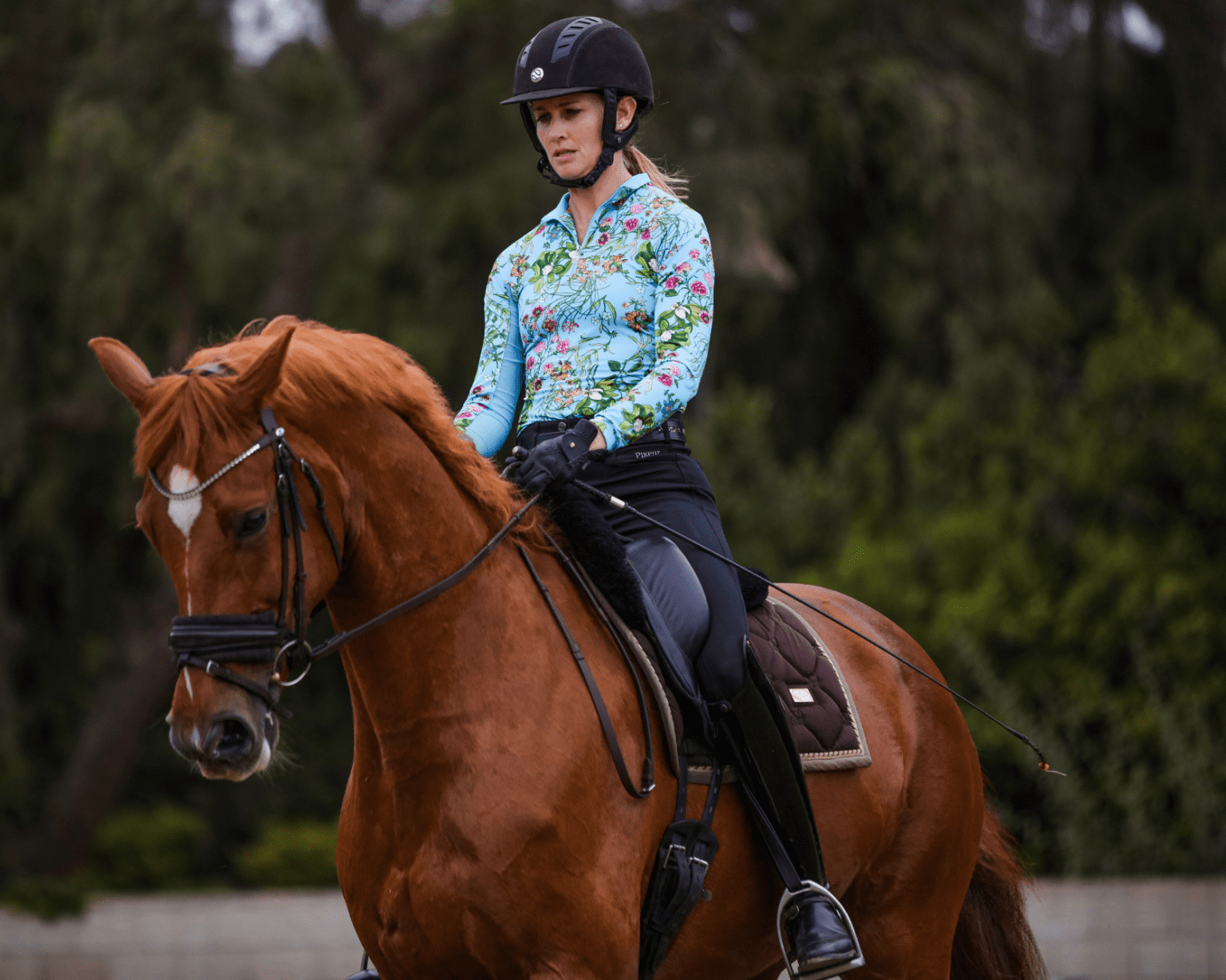 Meet the Boys! An introduction to Amelia's Horses. - Amelia Newcomb ...