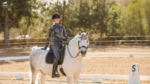 Home - Amelia Newcomb Dressage