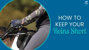 How to Hold and Use Your Reins Properly - Amelia Newcomb Dressage