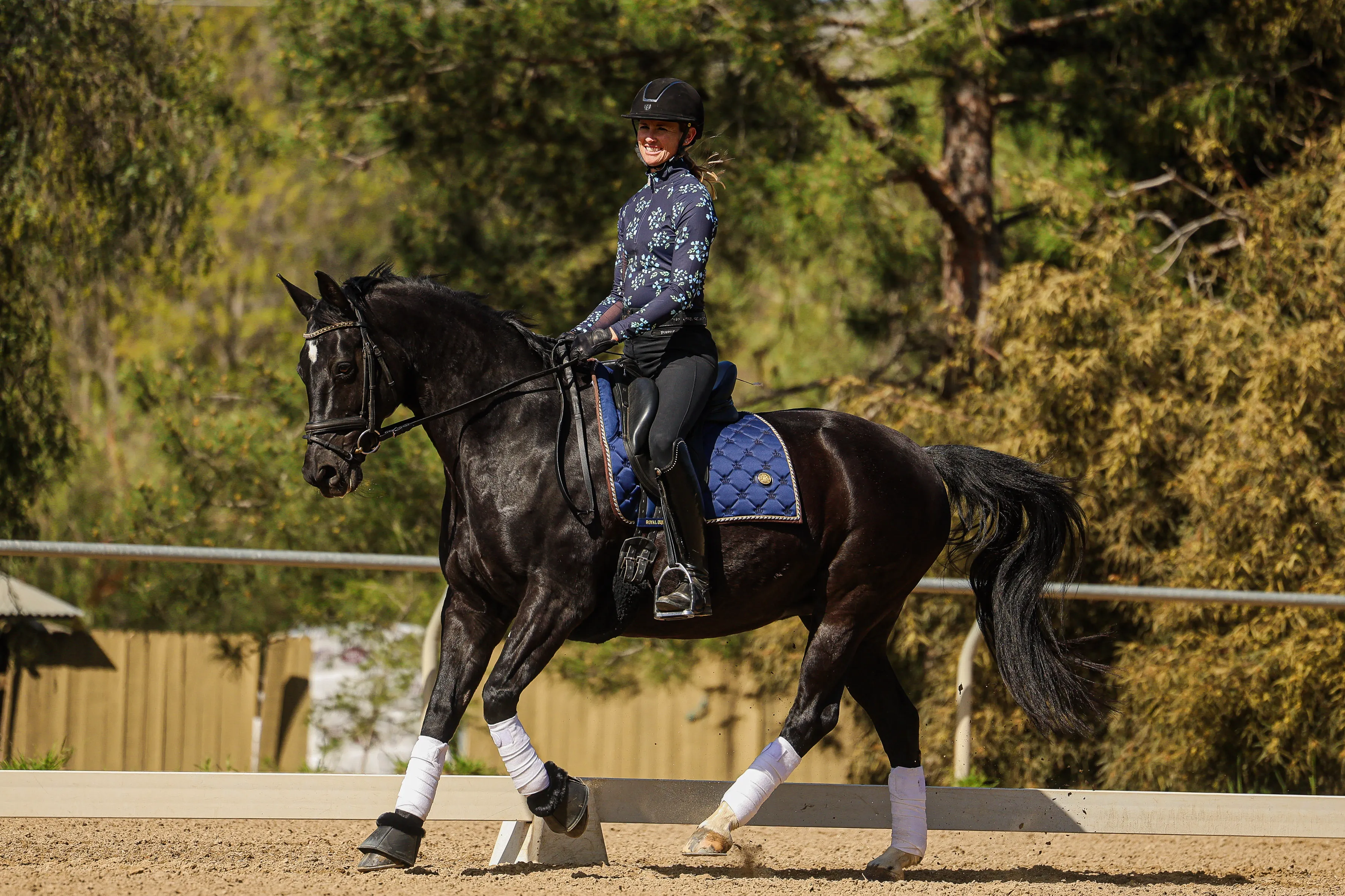 The Canter Challenge - Amelia Newcomb Dressage