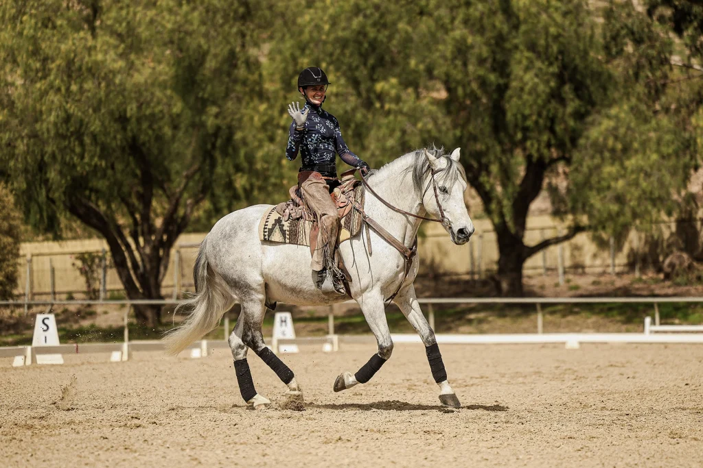 The Canter Challenge - Amelia Newcomb Dressage