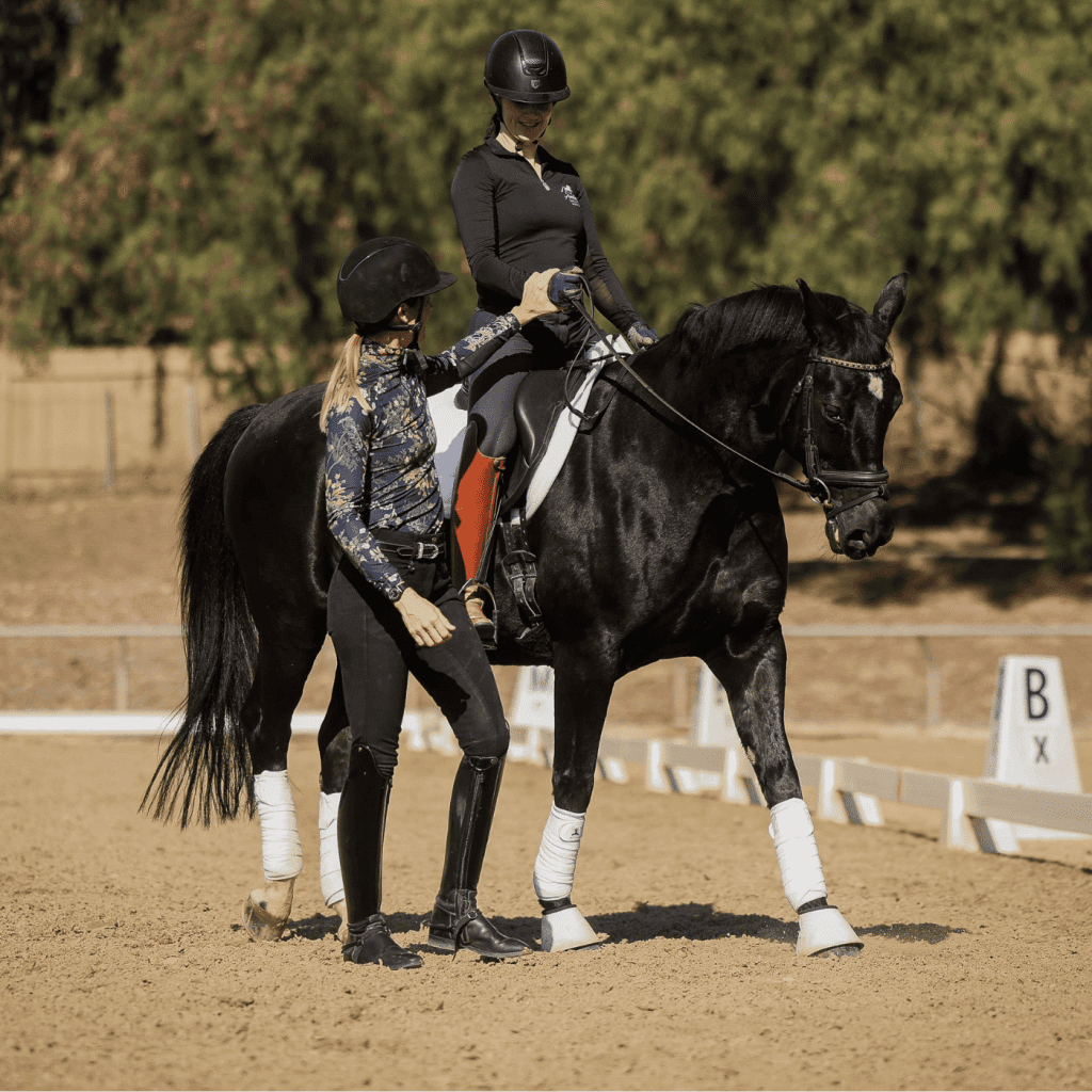 Rider Position Blueprint- v2 - Amelia Newcomb Dressage