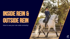 How to Hold and Use Your Reins Properly - Amelia Newcomb Dressage