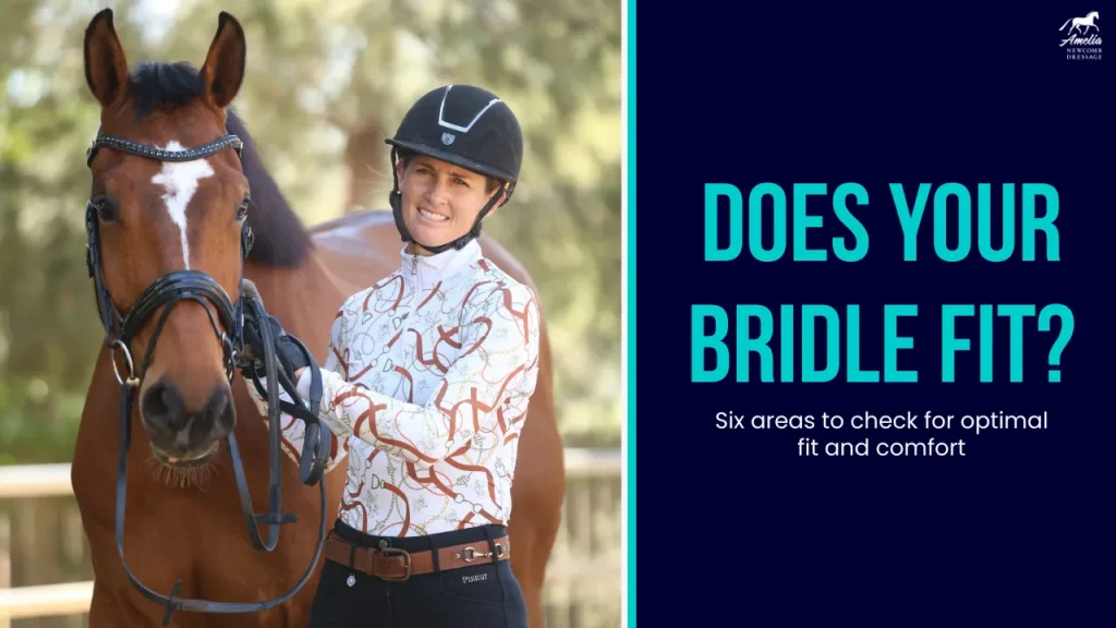 Stretch Circle with a Judge - Amelia Newcomb Dressage