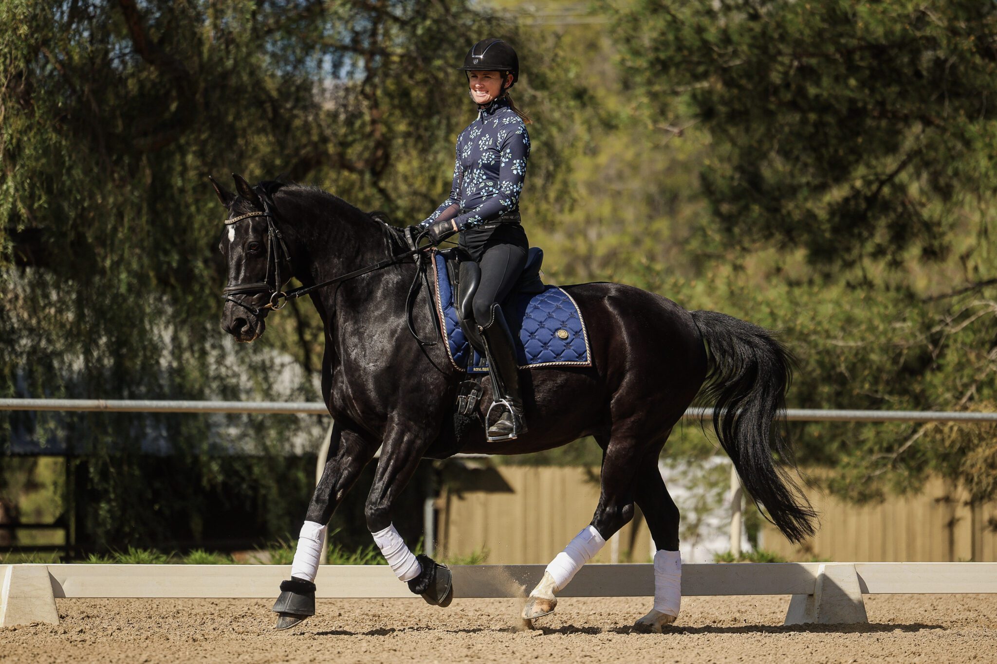 Dressage Basics - Amelia Newcomb Dressage