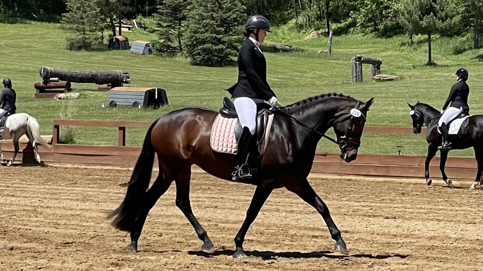 Dressage Tips - Page 8 of 19 - Amelia Newcomb Dressage