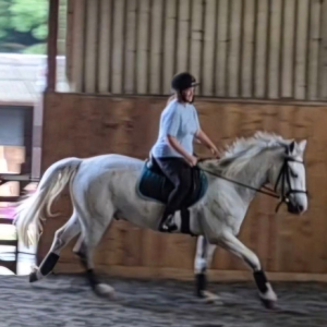 Free Resource- Amelia's Canter Checklist A - Amelia Newcomb Dressage