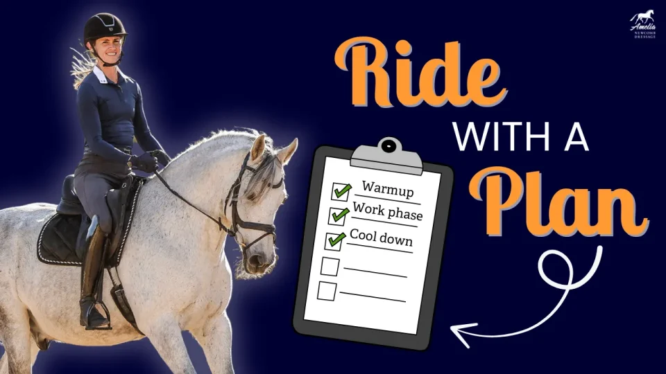 Dressage Tips - Page 2 of 45 - Amelia Newcomb Dressage